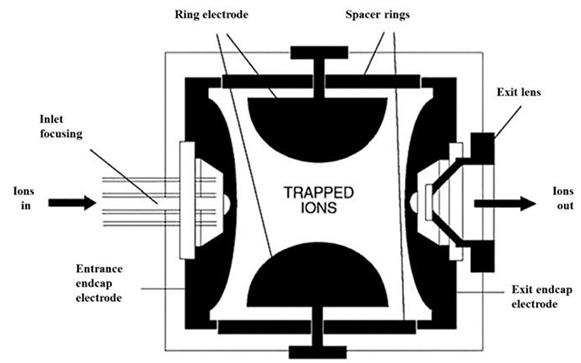 An Overview of the Potential of Mass Spectrometry in the Study of ...